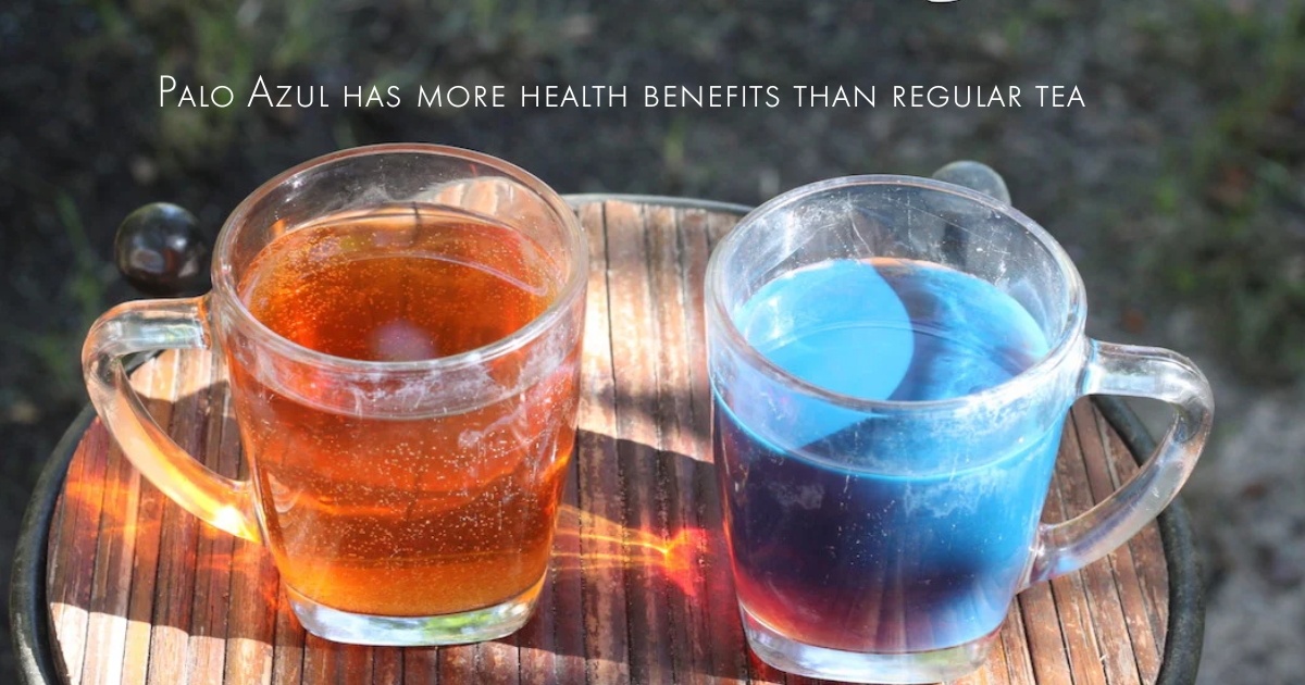 Benefits of Palo Azul | Assuaged