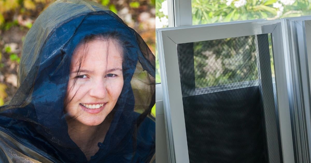 Insect-Borne Illness Prevention | Assuaged Foundation