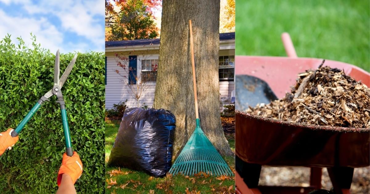 Insect-Borne Illness Prevention | Assuaged Foundation