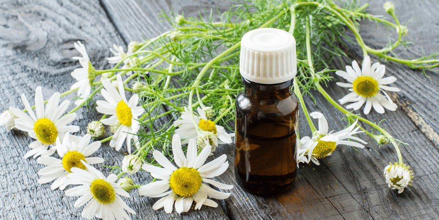 The Top 10 Uses of Chamomile - Some May Surprise You!